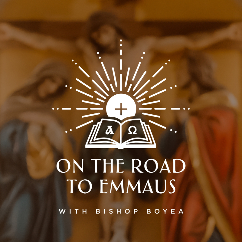 Diocese of Lansing | Welcome